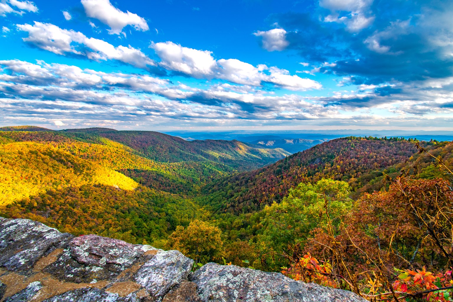 Highlands Region (MP 217–339) | Central Blue Ridge Parkway