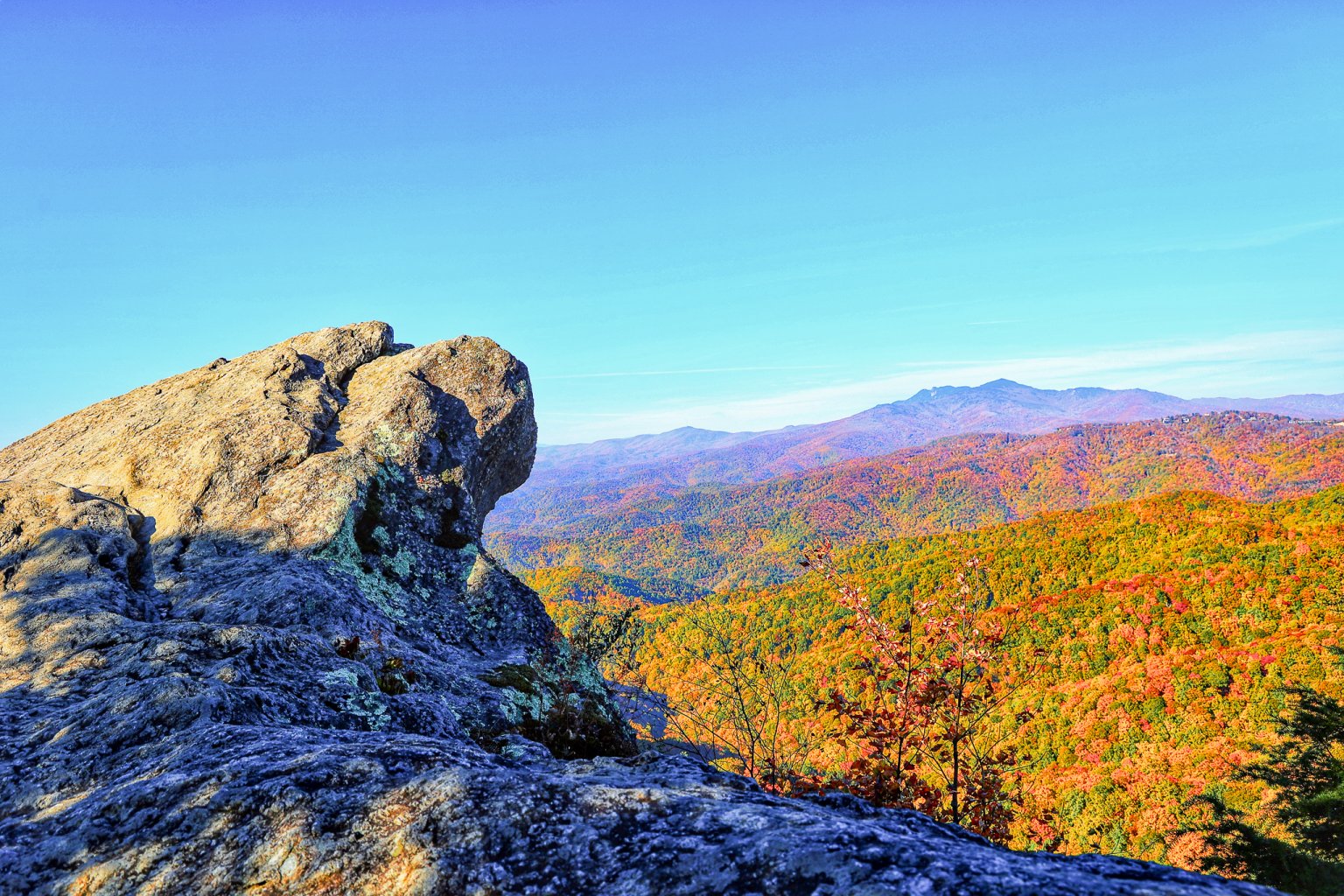 Visit Virginia's Blue Ridge | Blue Ridge Parkway