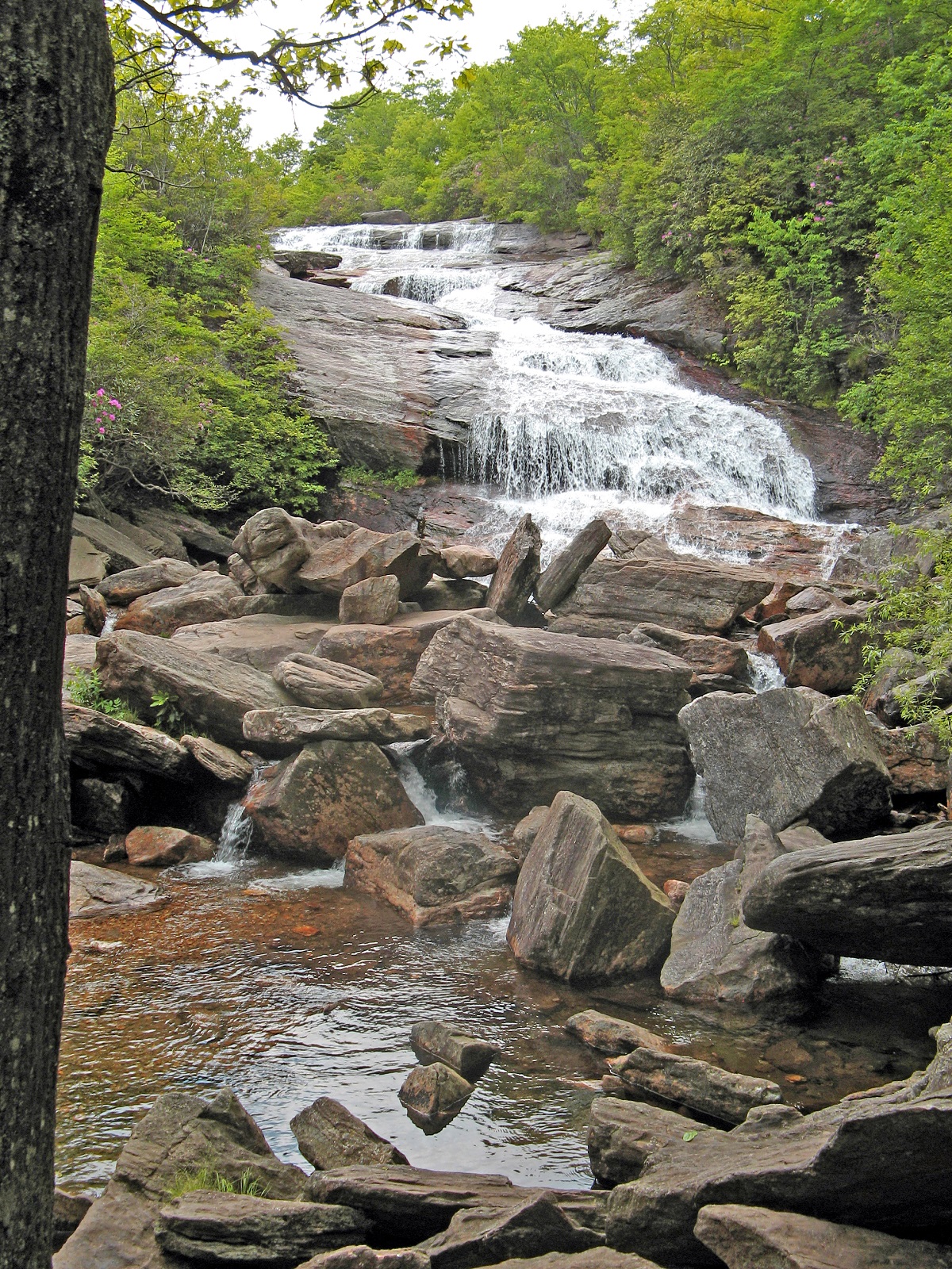 Graveyard Fields - Blue Ridge Parkway