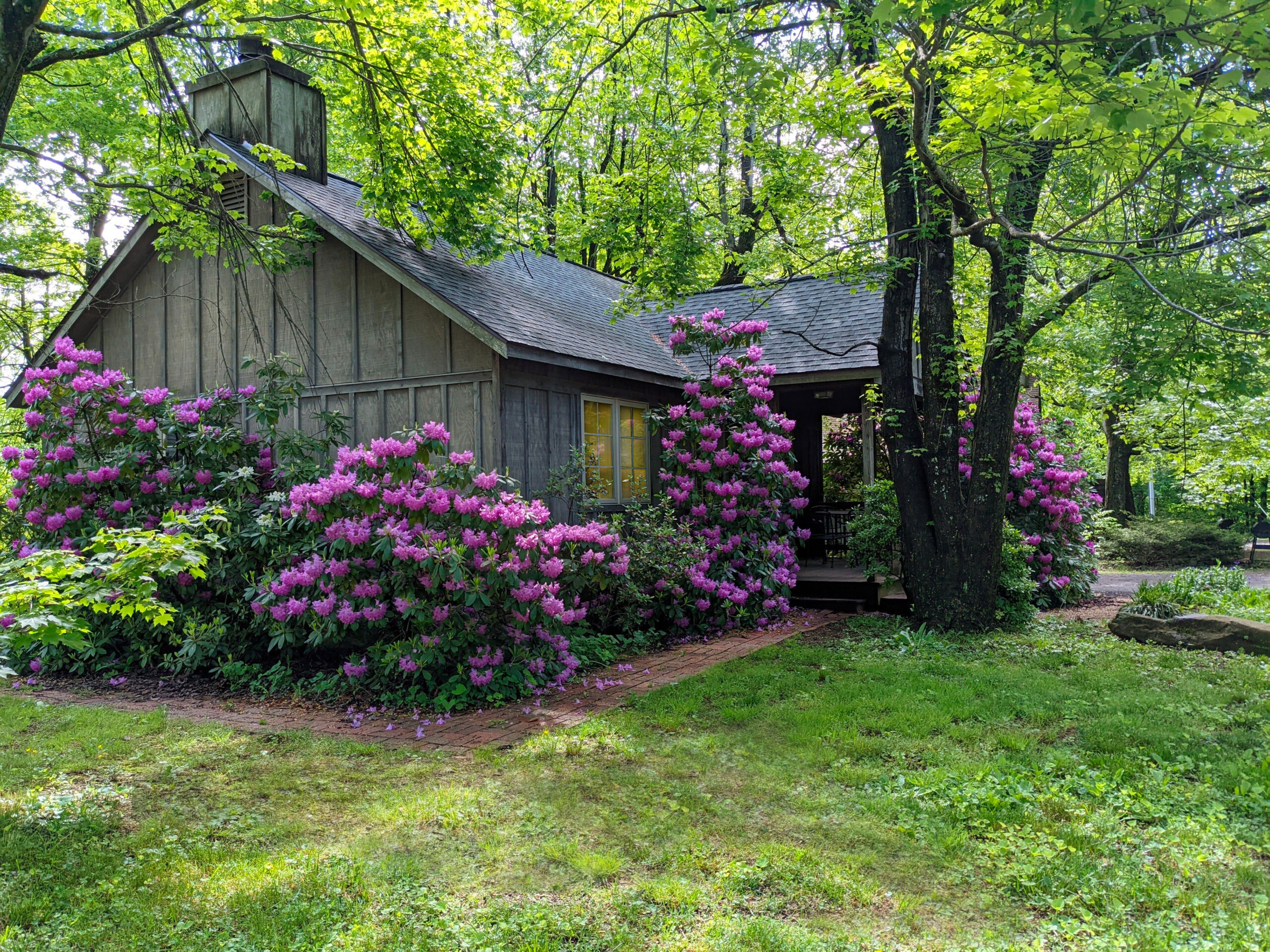 Love Ridge Mountain Lodging - Blue Ridge Parkway