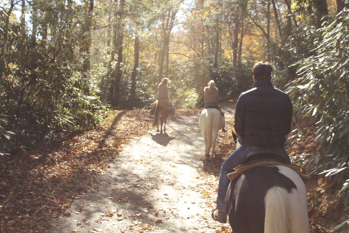 Springmaid Mountain Cabins/Campground - Blue Ridge Parkway