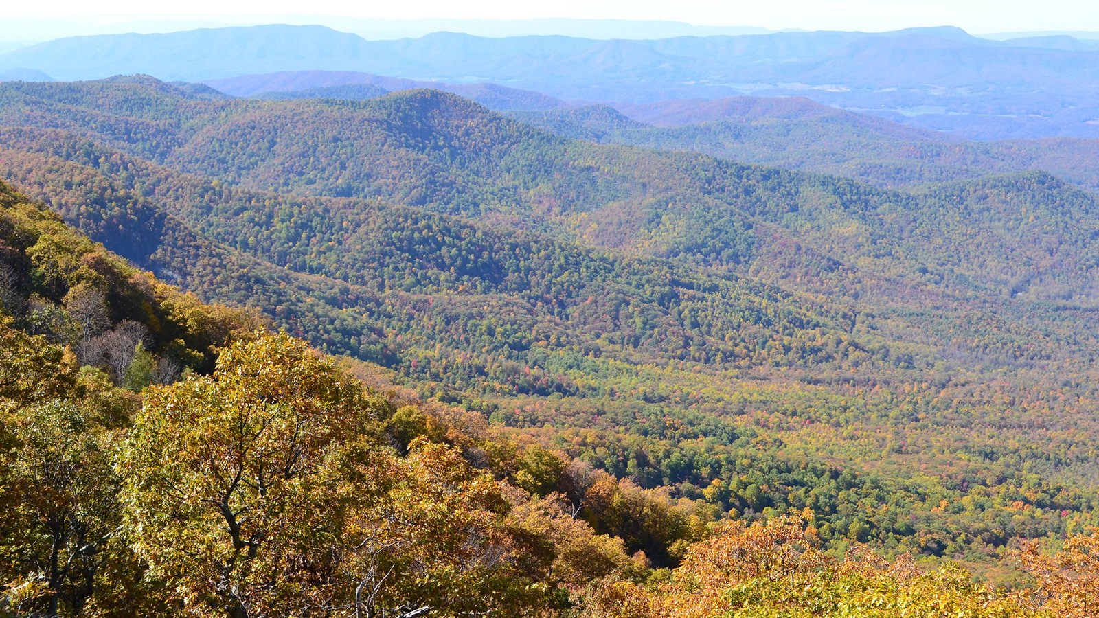Breathtaking Views from the Blue Ridge Parkway: A Journey Through North ...