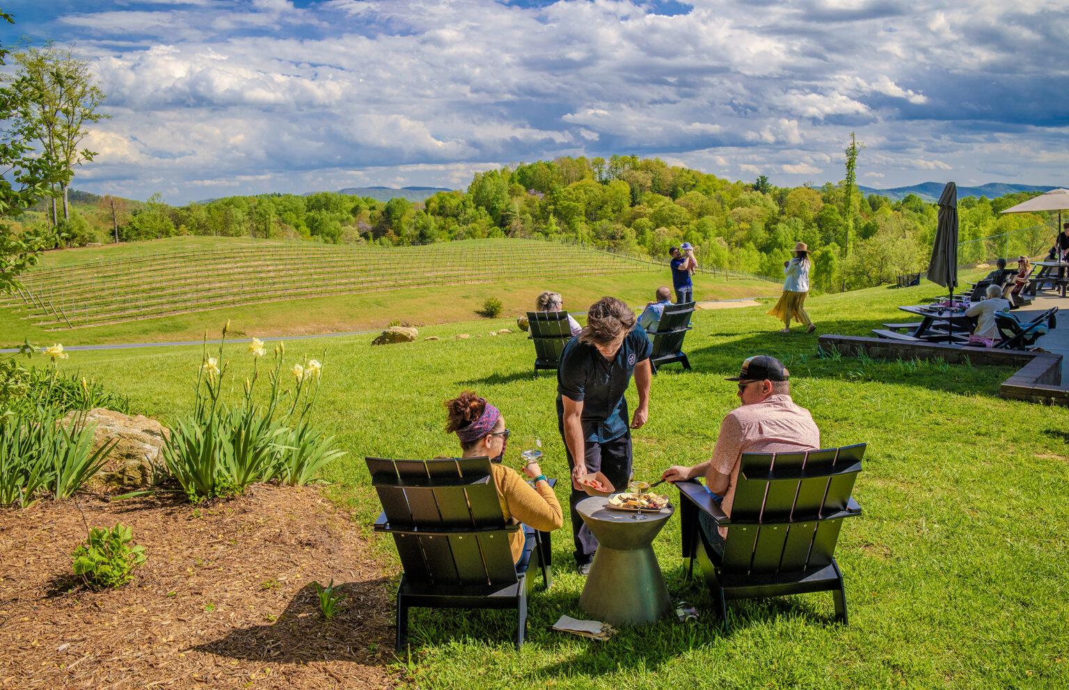 Oyster Sundays at 12 Ridges Vineyard - Blue Ridge Parkway