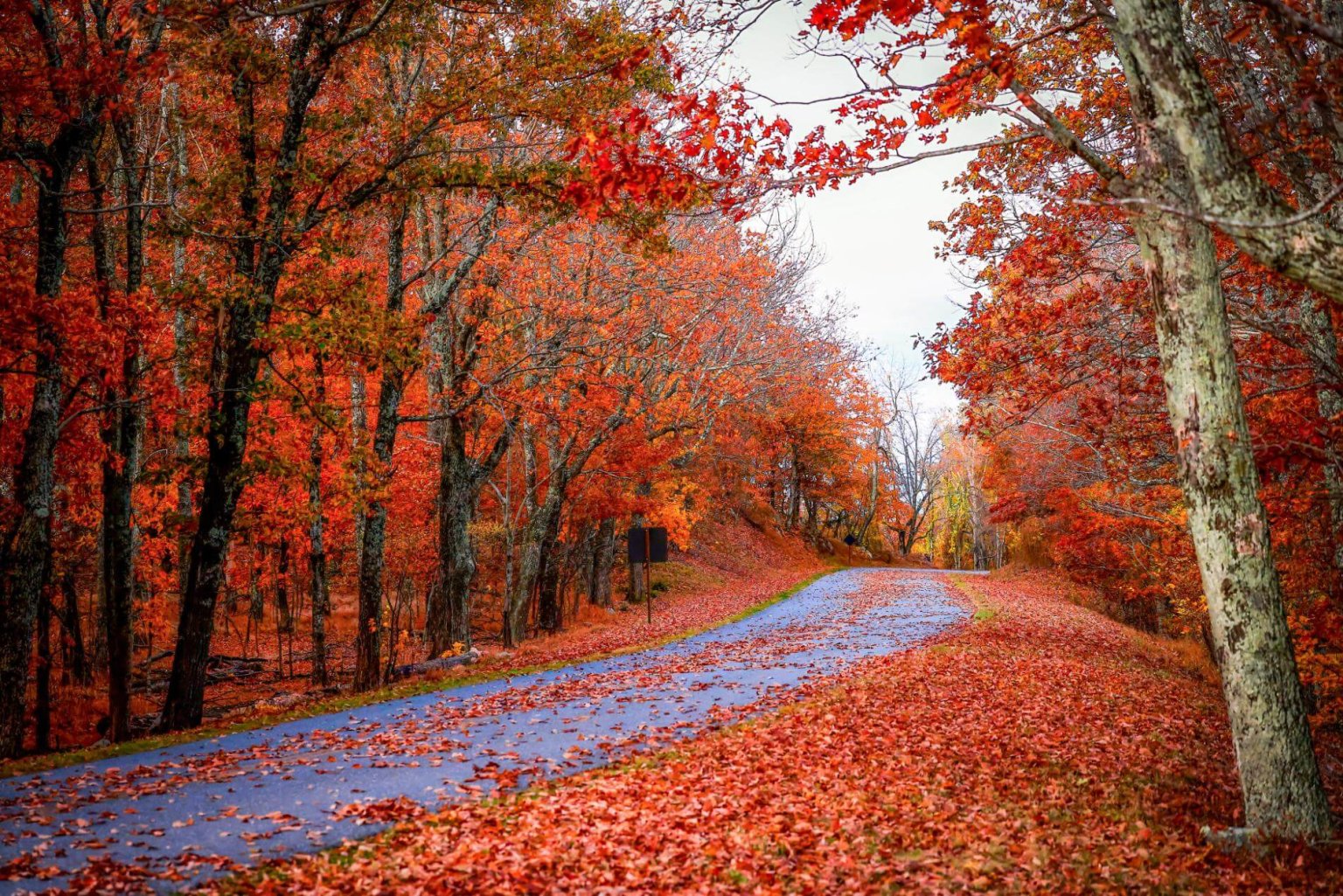 Blue Ridge Parkway Fall Color Guide | Peak Viewing & Maps