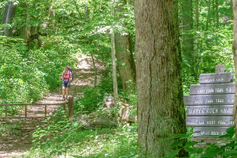 Explore the Great Smokies Region | Blue Ridge Parkway